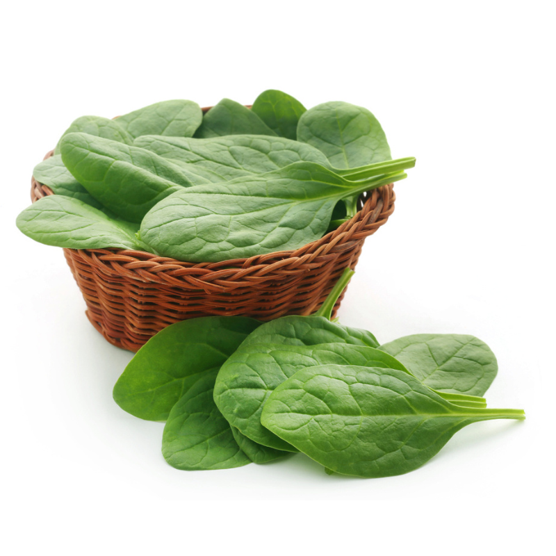 Epinard carton – Epicerierina